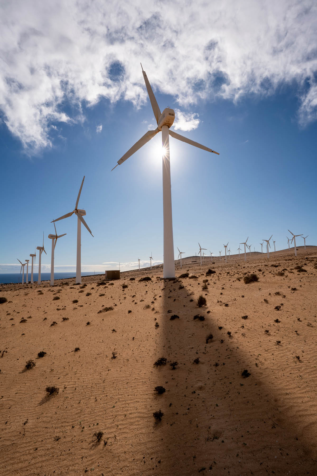 Desert Renewable Energy Conservation Plan Archives - Babst Calland ...